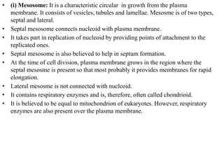 Bacterial cell structure and composition | PPT