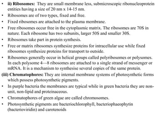 Bacterial cell structure and composition | PPT