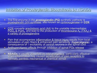 NSAIDS_N_5-12-08_handout | PPT