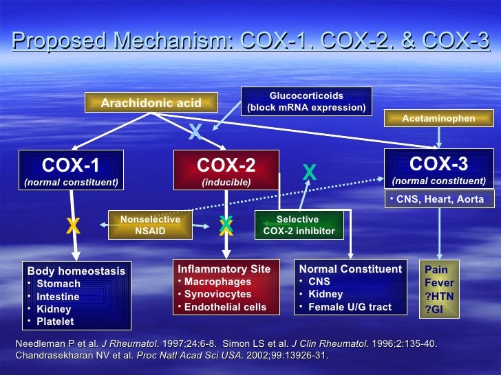 NSAIDS_N_5-12-08_handout