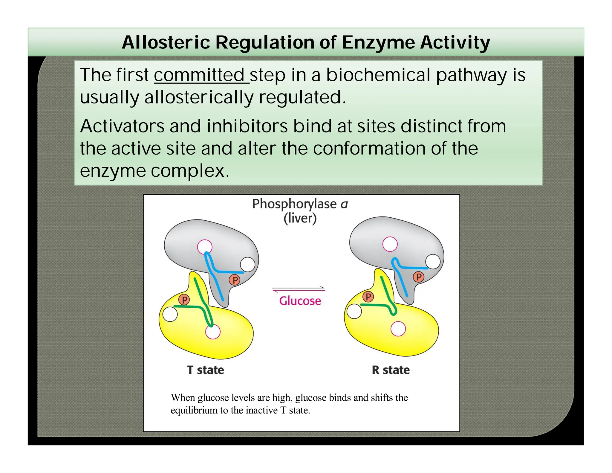 Integration of metabolism with correlated diagrams.pdf