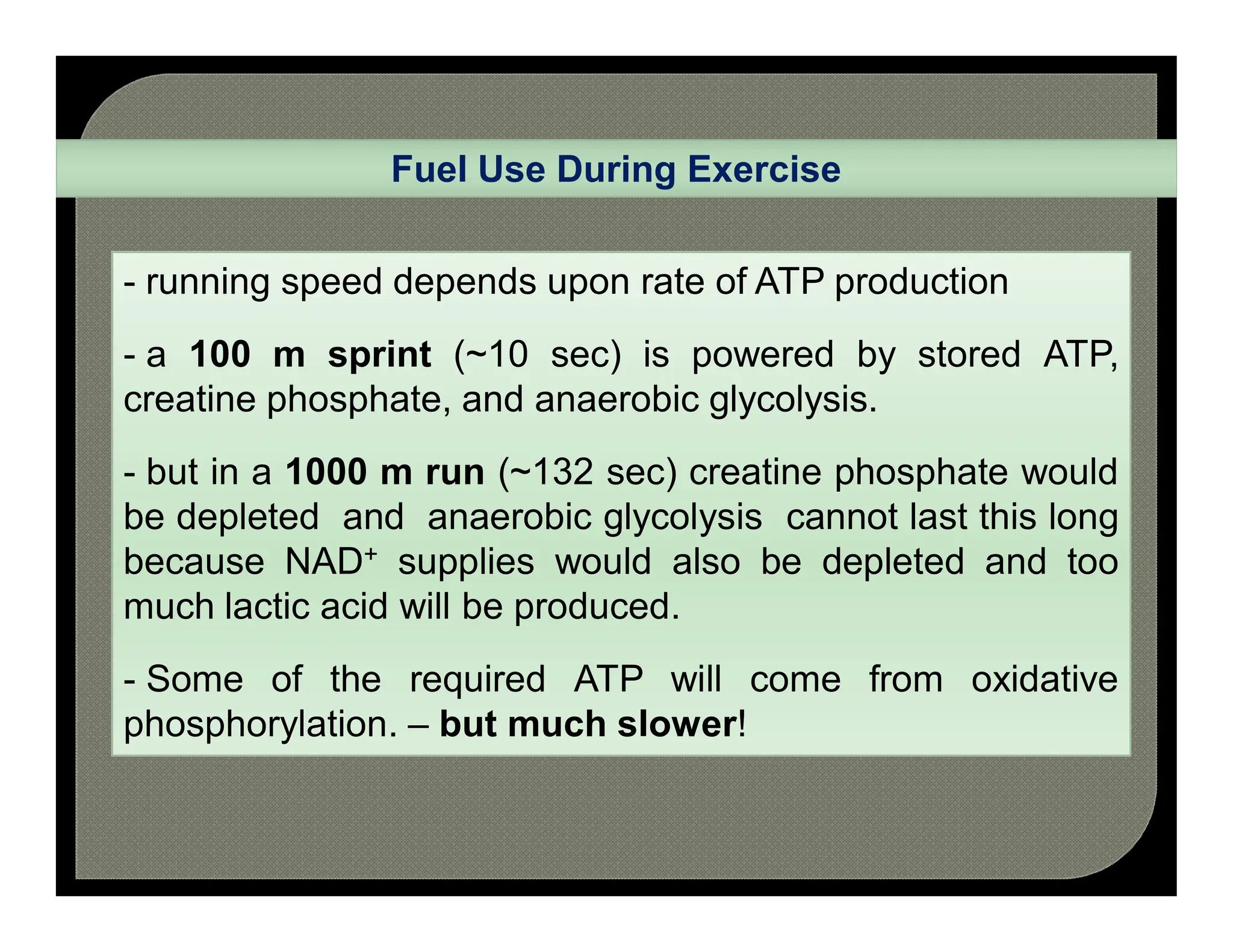 Integration of metabolism with correlated diagrams.pdf