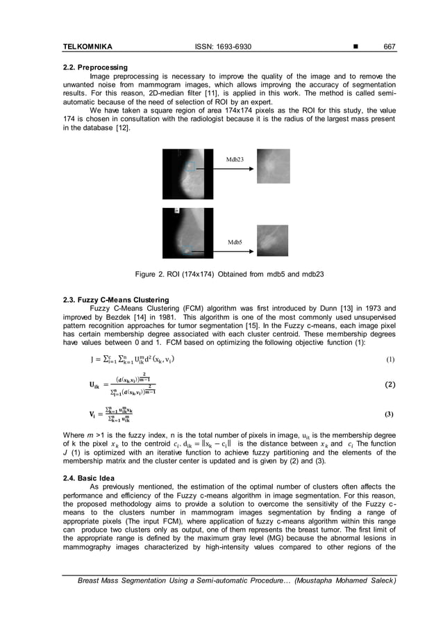 Breast Mass Segmentation Using a Semi-automatic Procedure Based on Fuzzy C-means Clustering | PDF