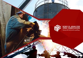 BSF Profile LR | PPT