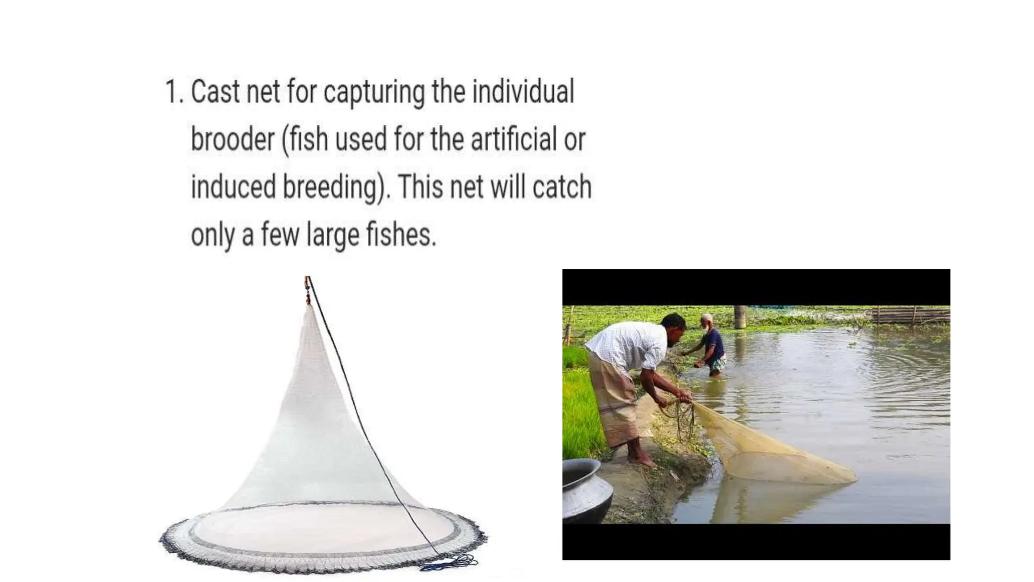 hygiene of equipments used in fish culture .....pptx