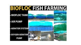 hygiene of equipments used in fish culture .....pptx