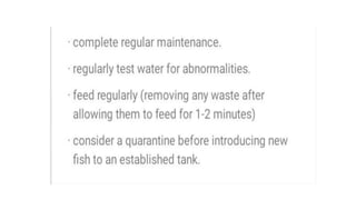 hygiene of equipments used in fish culture .....pptx