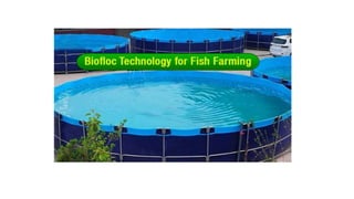hygiene of equipments used in fish culture .....pptx