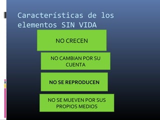 ECOSISTEMA 4to básico | PPT