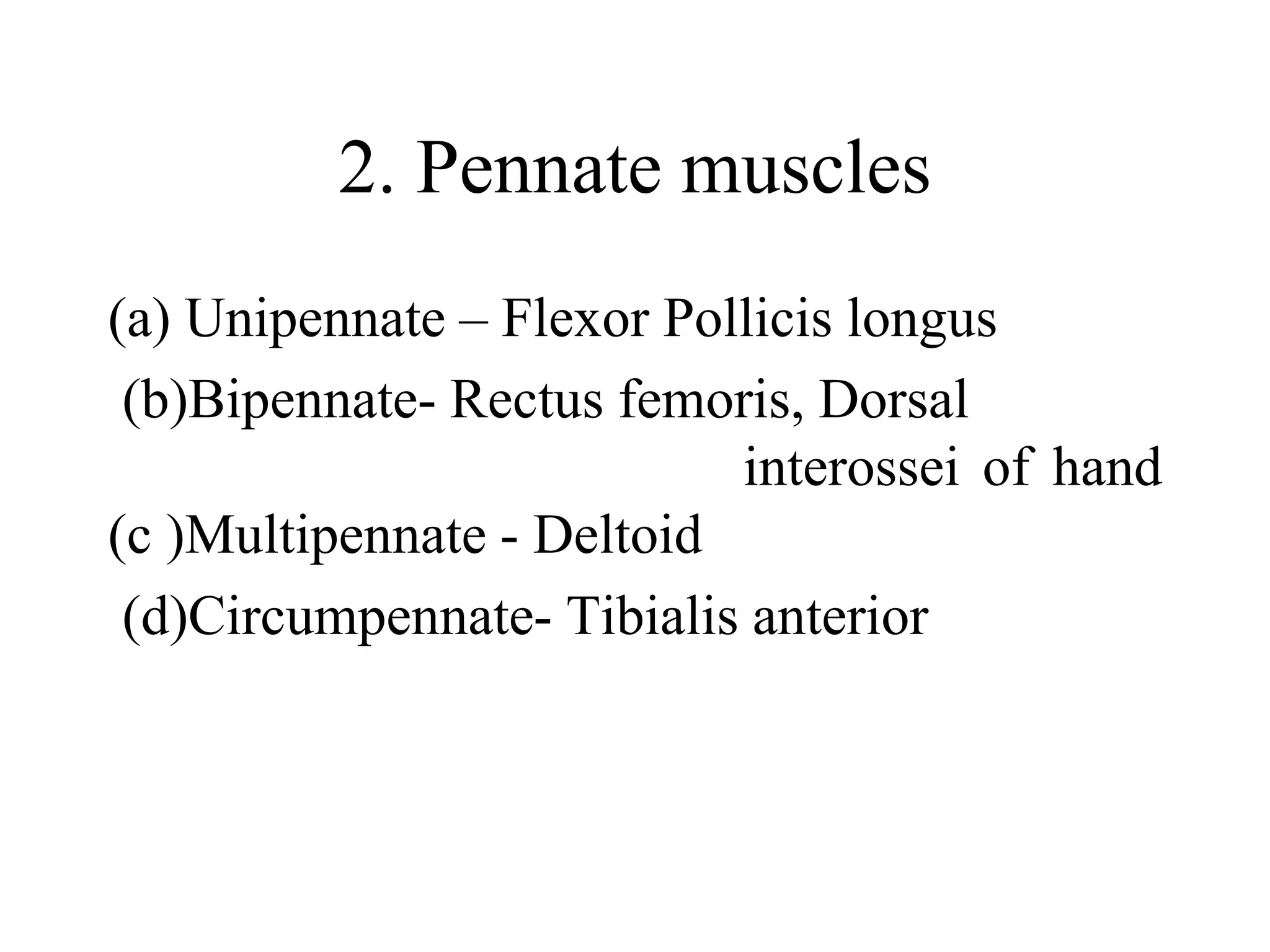268_generral_anatomy_muscular_system.ppt