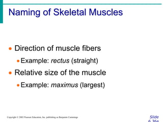 268_generral_anatomy_muscular_system.ppt
