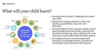 Cambridge Primary an Introduction for Parents | PDF
