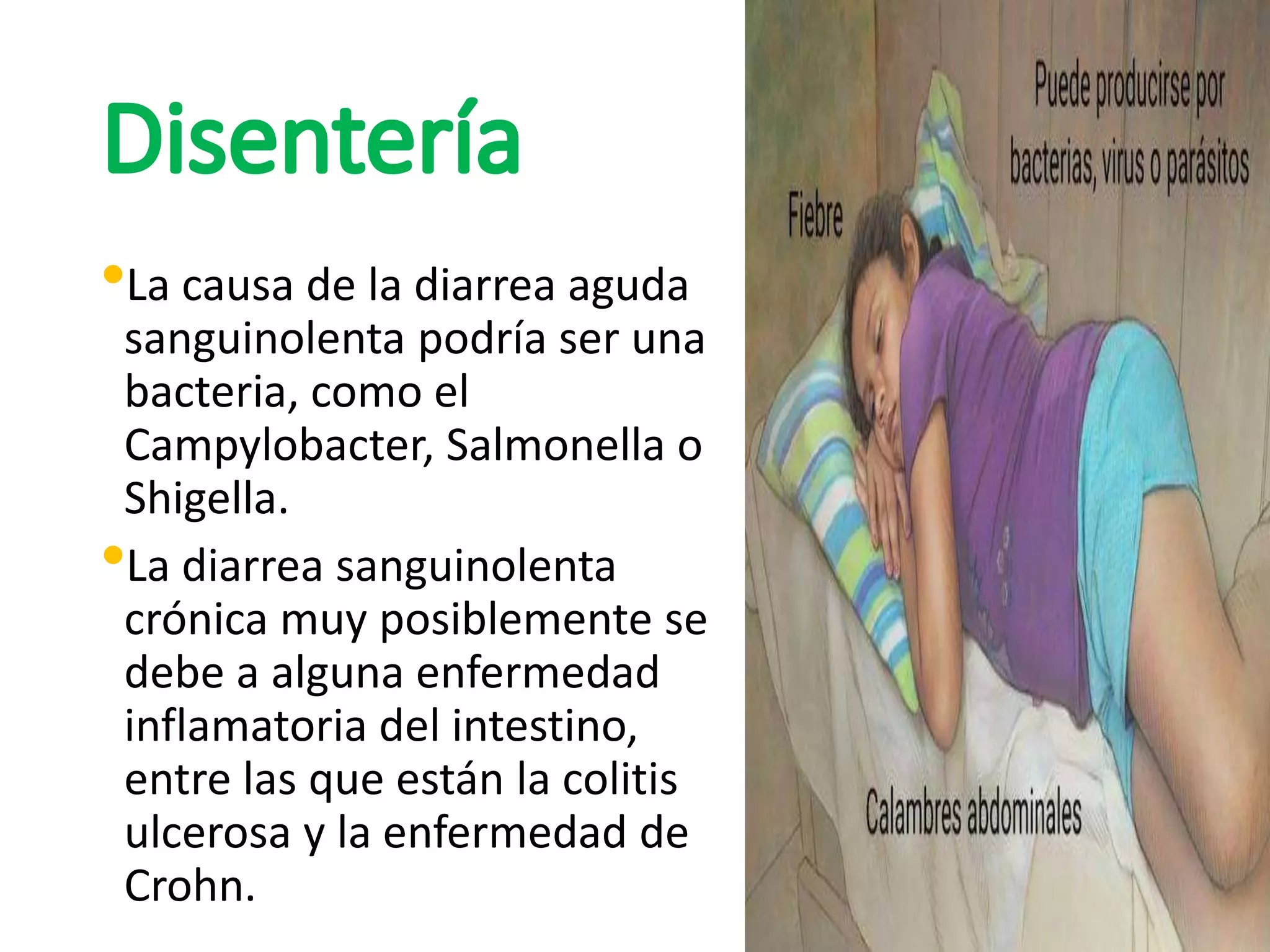 Enfermedad Diarreica | PPTX