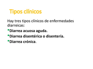 Enfermedad Diarreica | PPTX