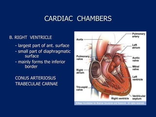 Pericardium | PPT