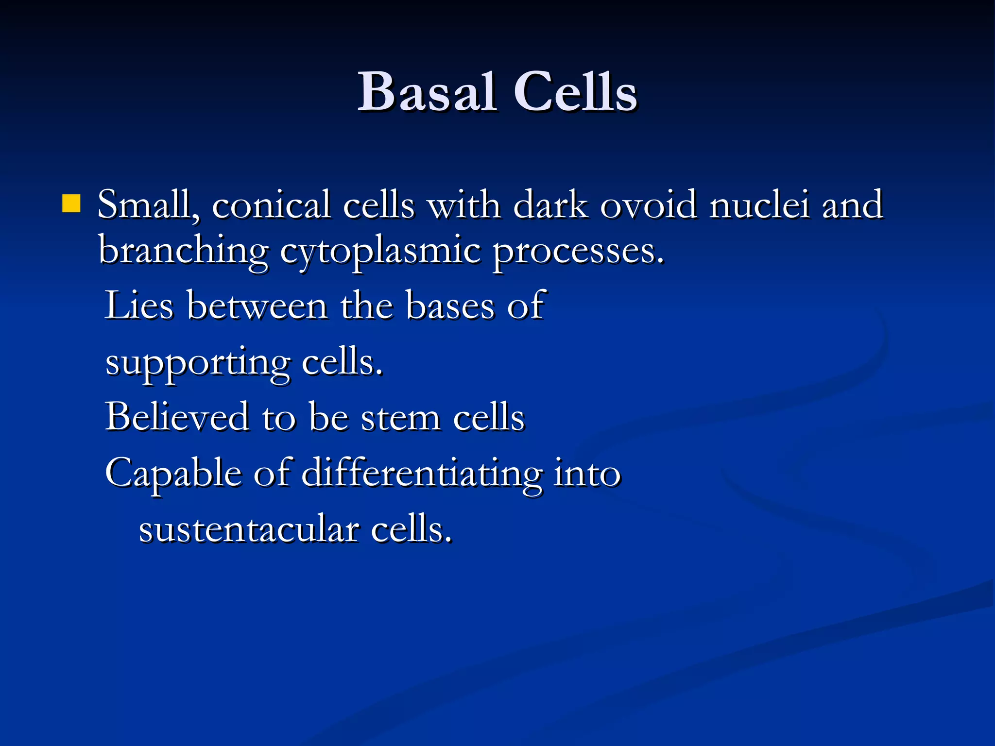 Respiratory System | PPT