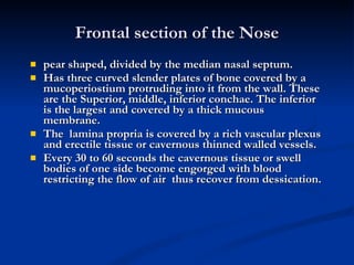 Respiratory System | PPT