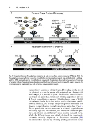Protein Microarrays Methods and Protocols 2011th Edition Ulrike Korf | PDF