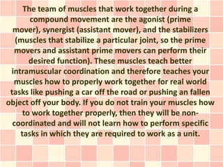 Compound and Isolation Exercises | PPTX