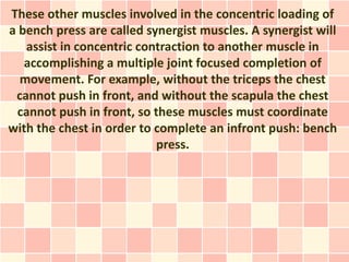Compound and Isolation Exercises | PPTX