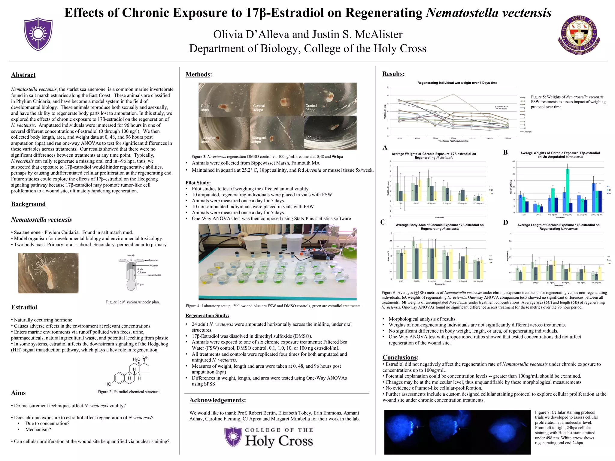 Olivia D'Alleva Senior Poster Final | PDF