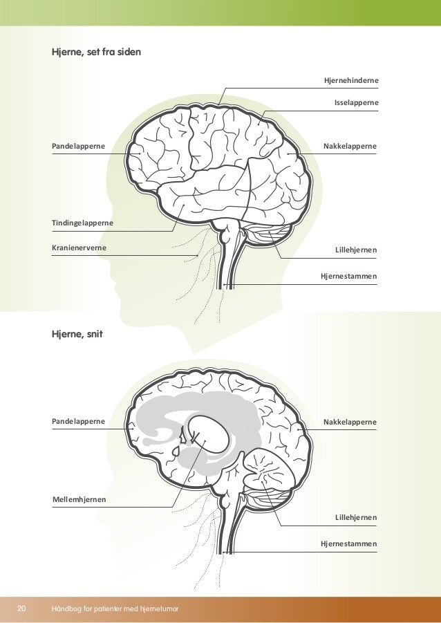 Haandbog for patienter med hjernetumor