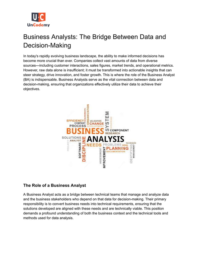 Business Analysts: The Bridge Between Data and Decision-Making | PDF