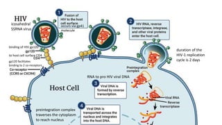 HIV AIDS | PPTX