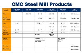 CMC SISAK BLOOM PRESENTATION | PPSX