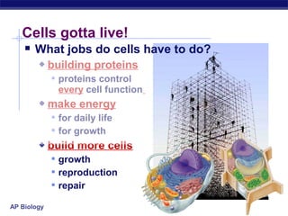 26 ch05cellsoverview2007 | PPT