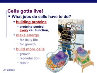 26 ch05cellsoverview2007 | PPT