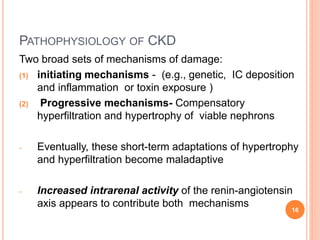 26 ckd by mersha | PPTX