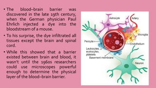 26e959e7_brain anatomy and cerebrovascular_diseases . | PDF