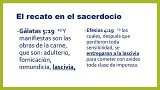 26 el santuario los vestidos santos | PDF