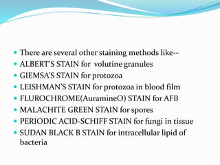 GRAM STAINING OF BACTERIA | PPTX