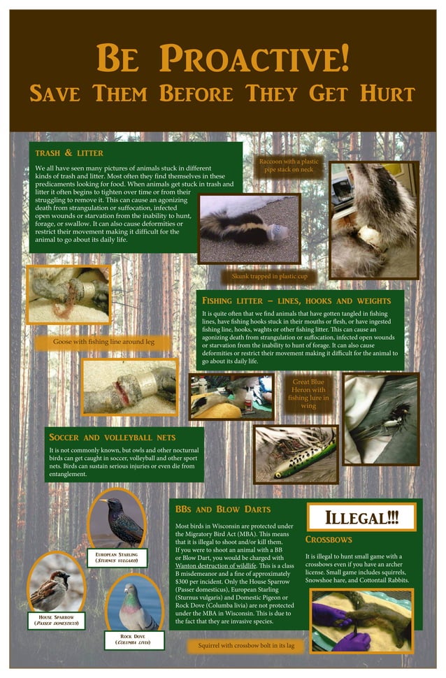 WINC Project finle | PDF