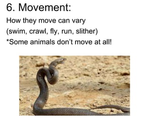 26_introduction_to_the_animal_kingdom.pptx