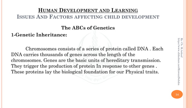 Issues and factors affecting child development | PDF