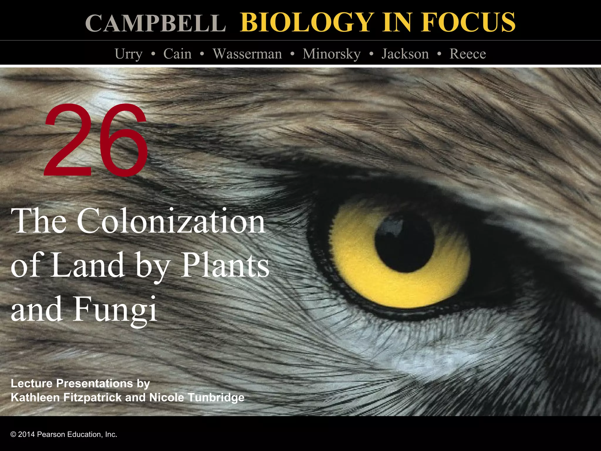 Biology in Focus - Chapter 26 | PPT