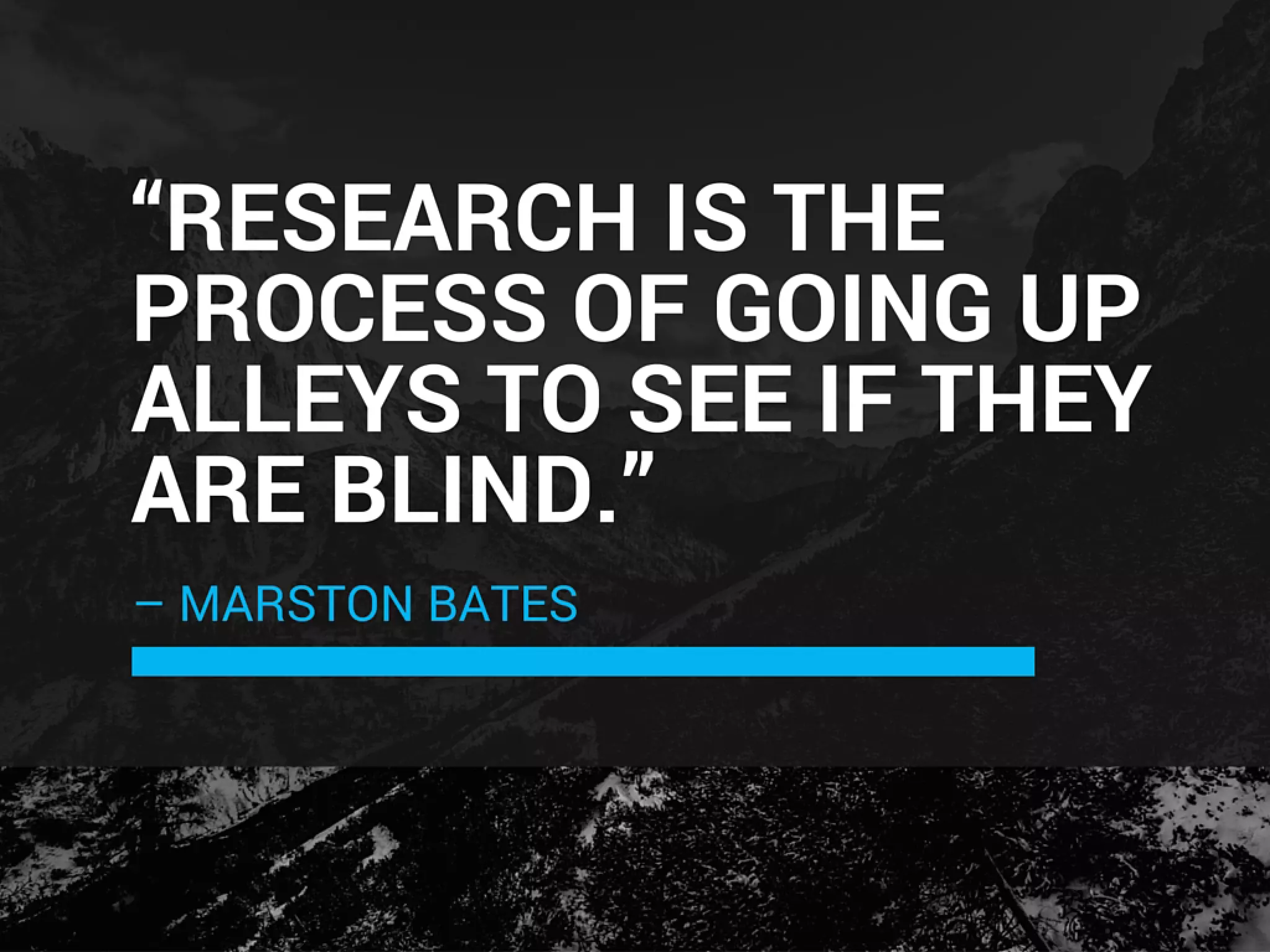 26 Quotes To Inspire Market Research Success | PDF