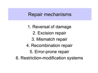 2_6_repair_2002.ppt