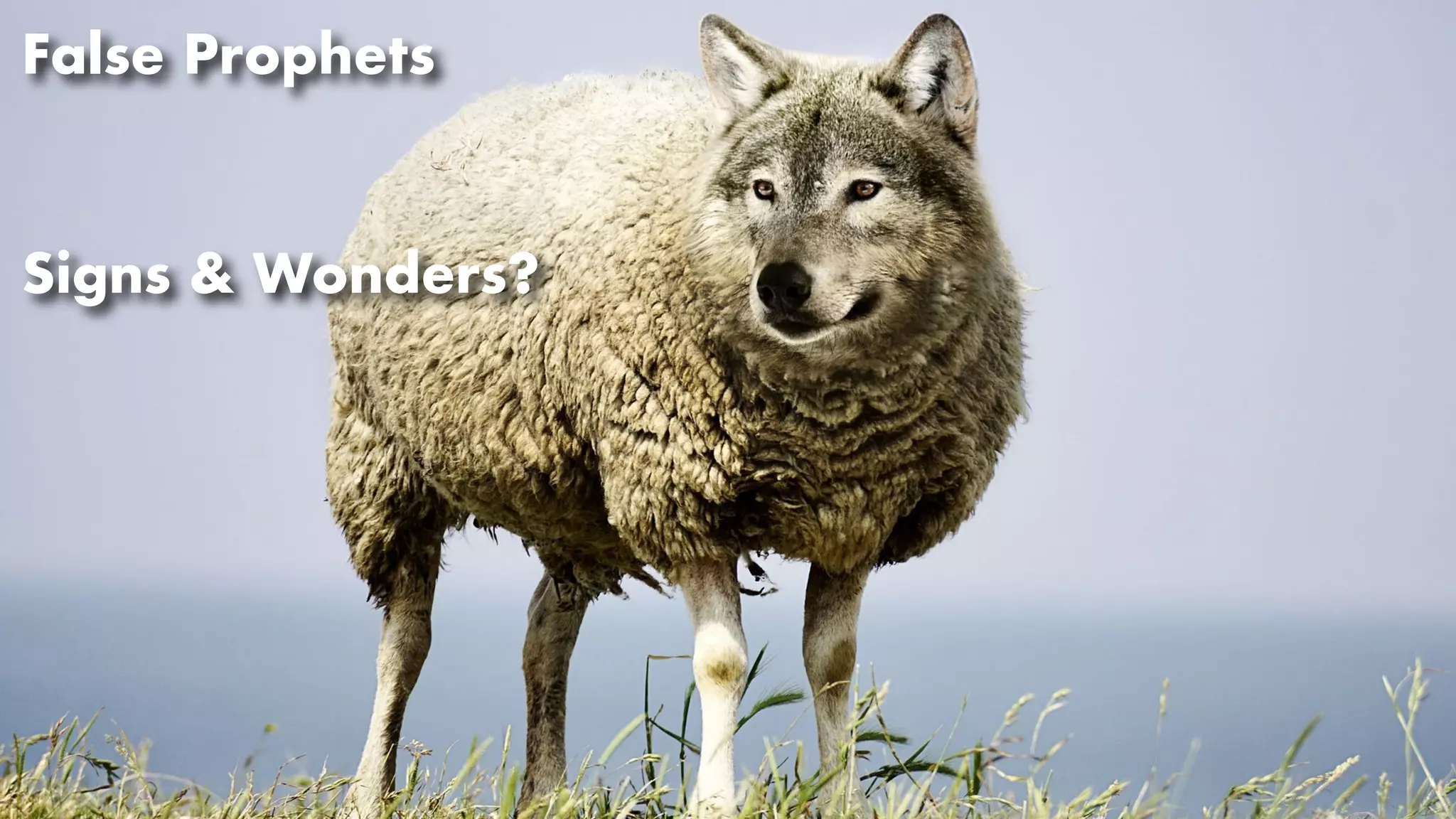 Beware of False Prophets | PDF