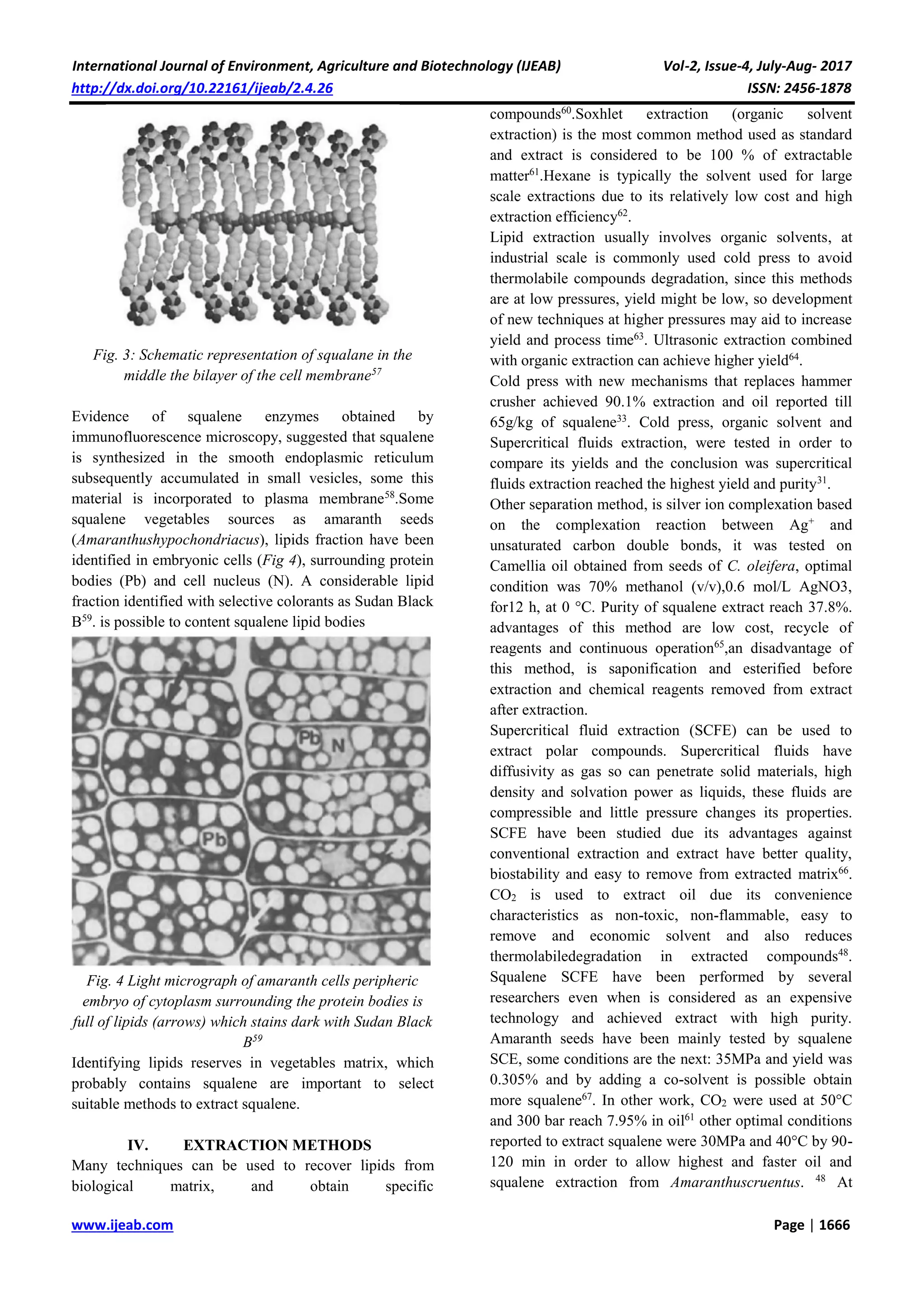 Squalene Extraction: Biological Sources and Extraction Methods | PDF