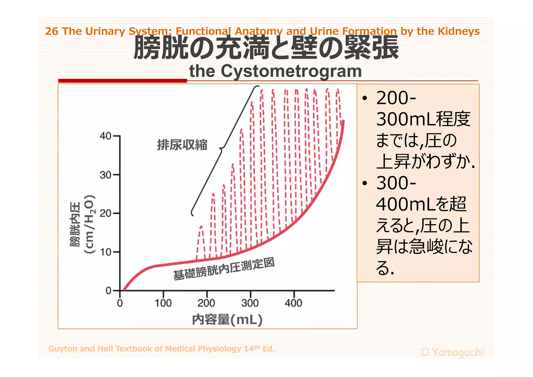 26 the urinary system; functional anatomy and urine formation by the ...