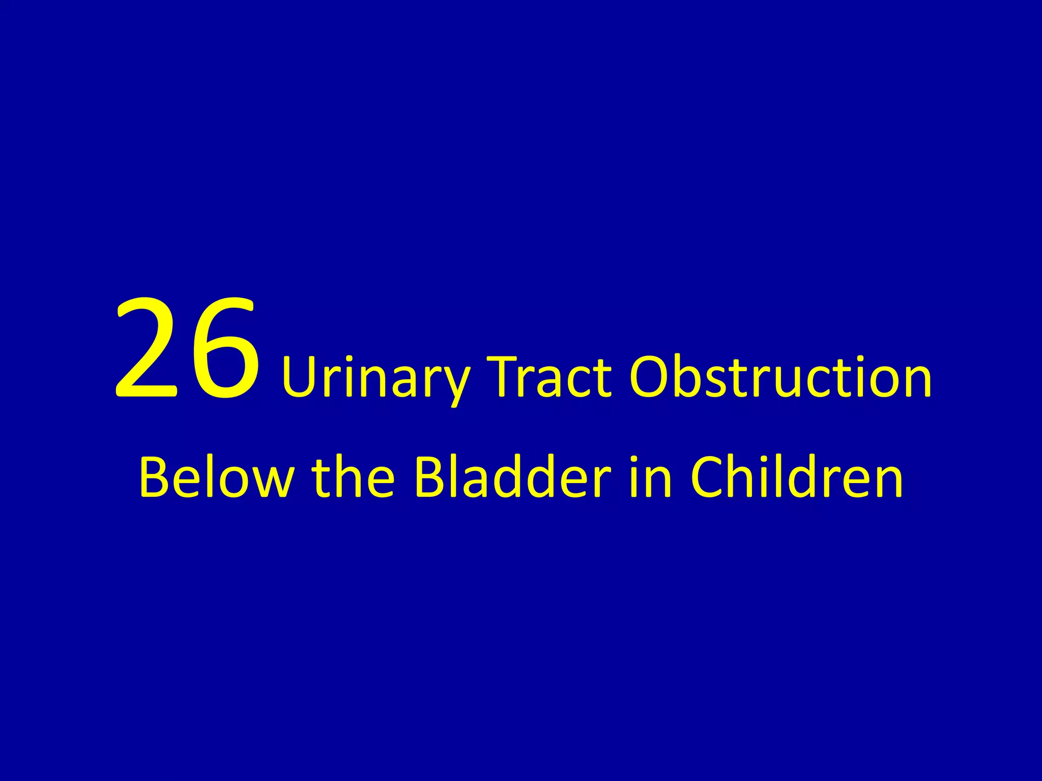 26 urinary tract obstruction below the bladder in | PPTX
