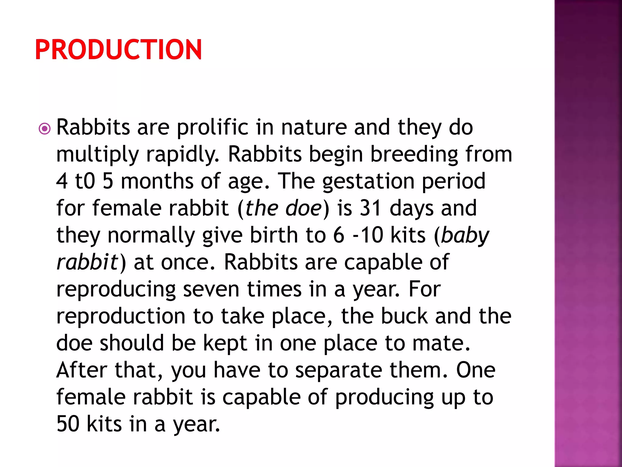 27.Rabbits farming A Lecture By Mr. Allah Dad Khan Visiting Professor ...