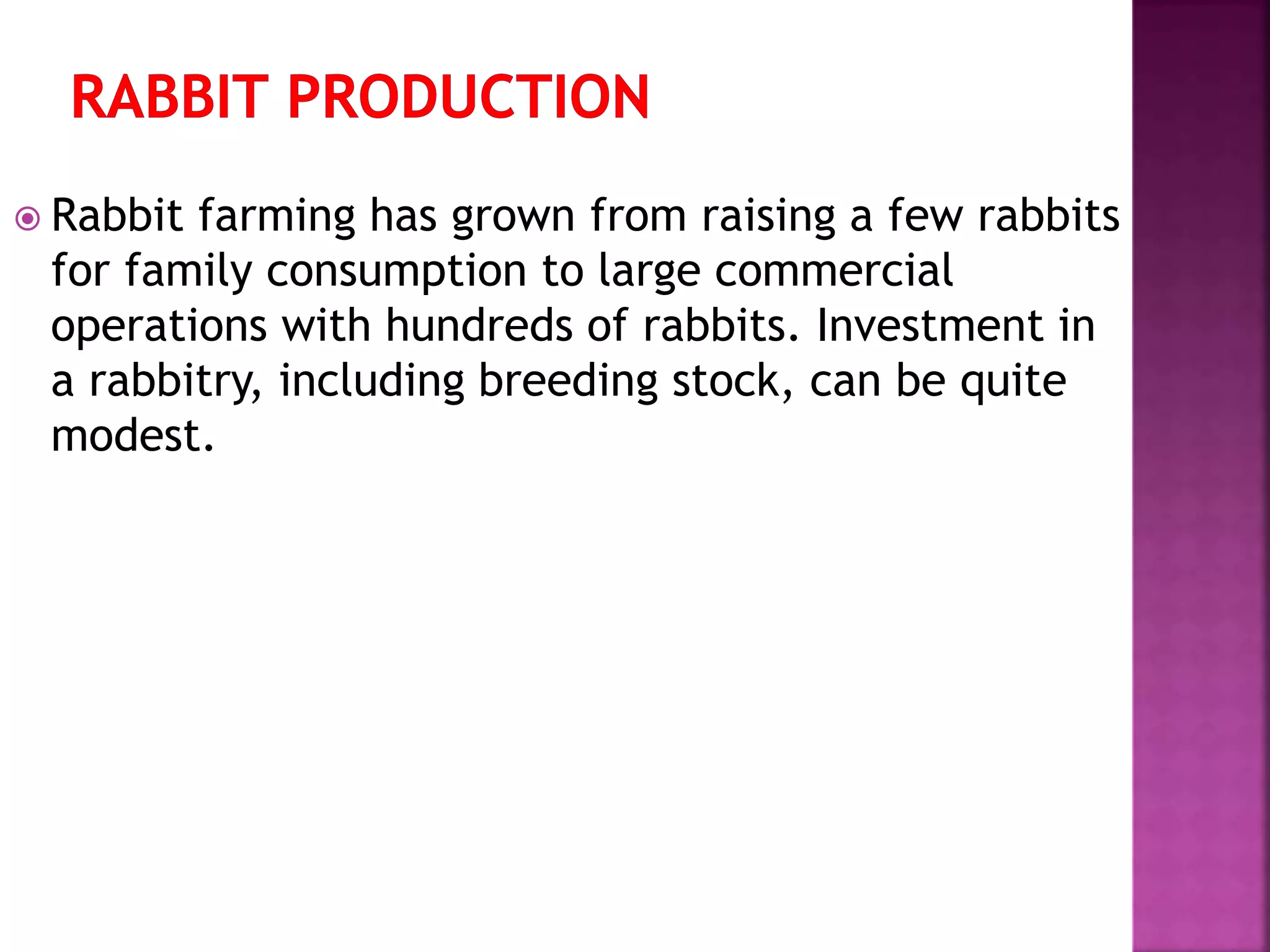 27.Rabbits farming A Lecture By Mr. Allah Dad Khan Visiting Professor ...