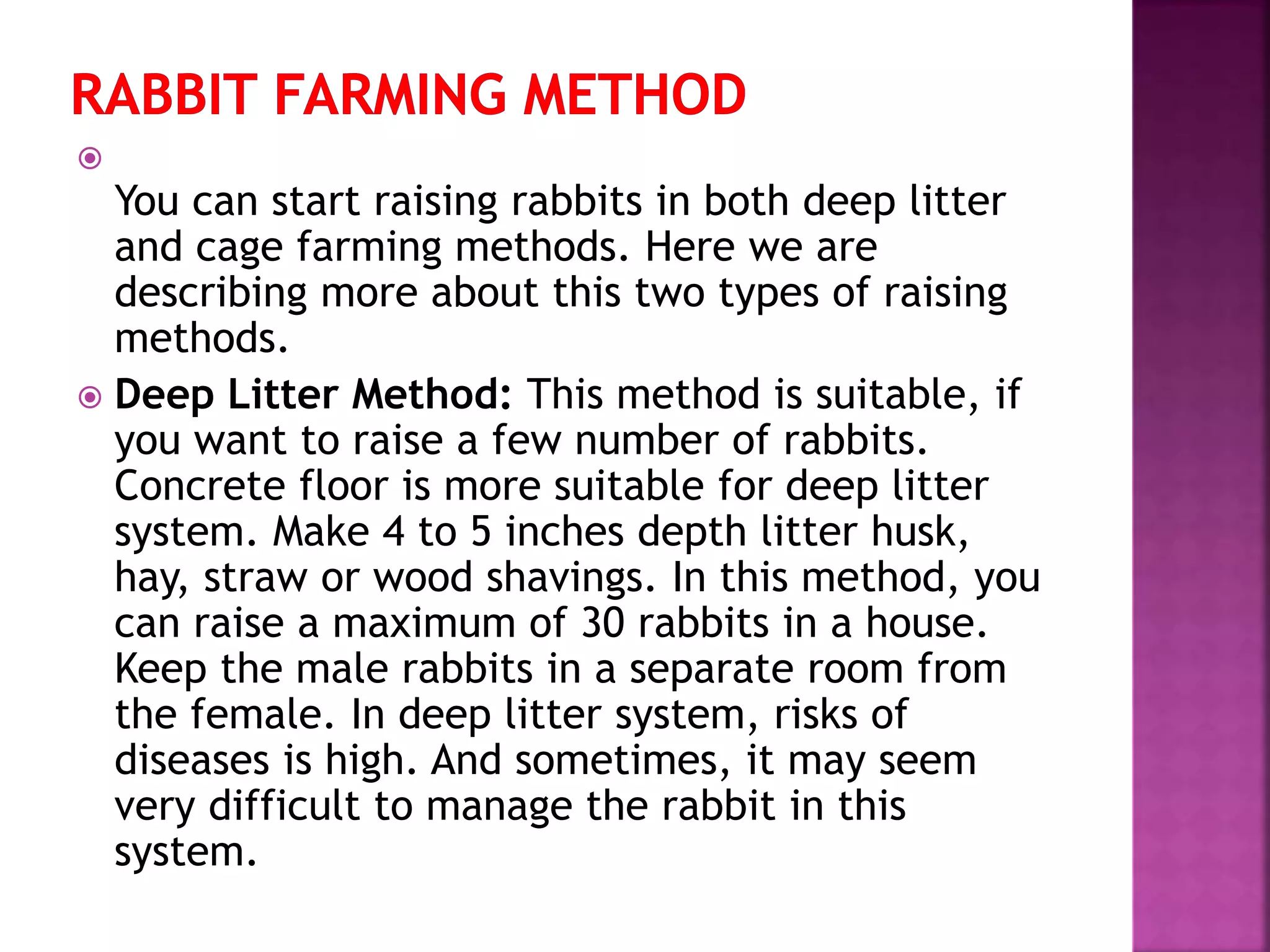 27.Rabbits farming A Lecture By Mr. Allah Dad Khan Visiting Professor ...