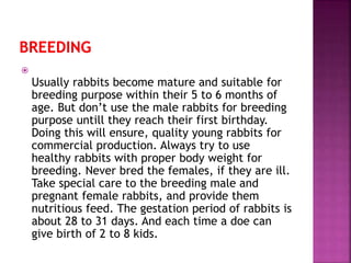 27.Rabbits farming A Lecture By Mr. Allah Dad Khan Visiting Professor ...