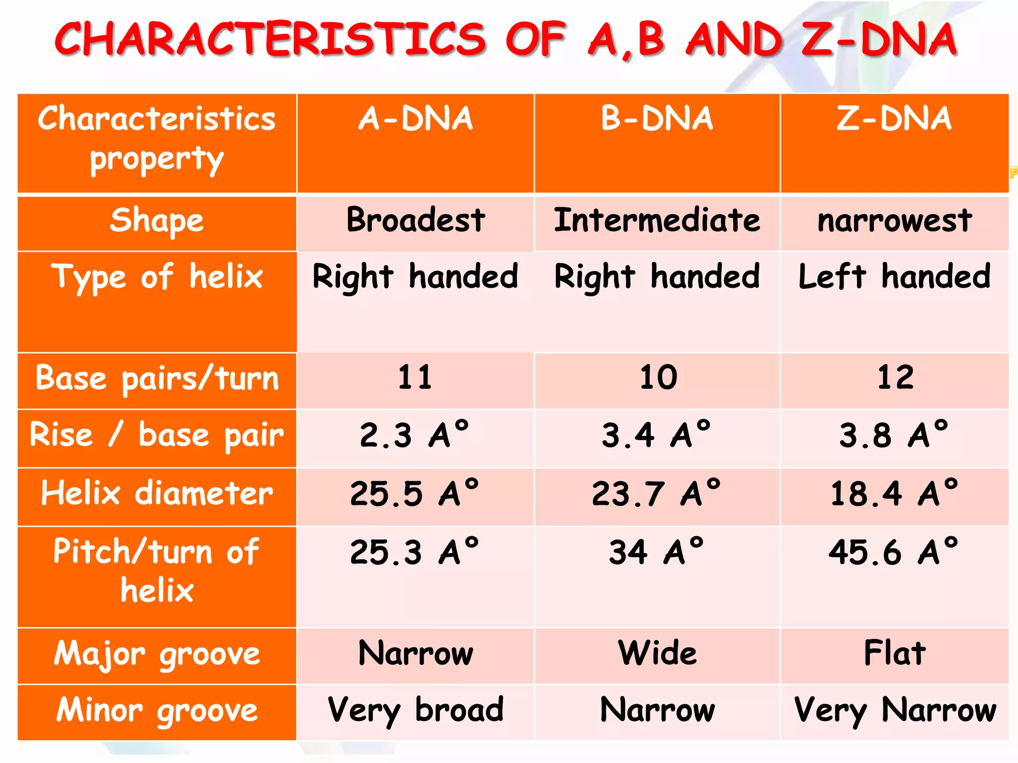 Chemistry of DNA | PPSX